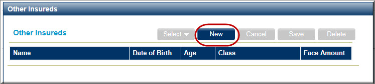 How Do I Add an Other Insuresd Rider?